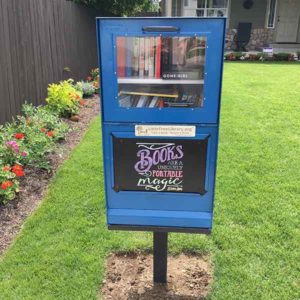 57 Jaw-Dropping Little Free Libraries - Little Free Library
