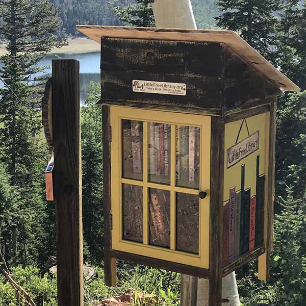 57 Jaw-Dropping Little Free Libraries - Little Free Library