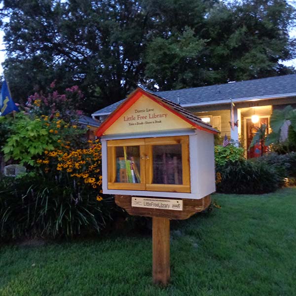 57 Jaw-Dropping Little Free Libraries - Little Free Library