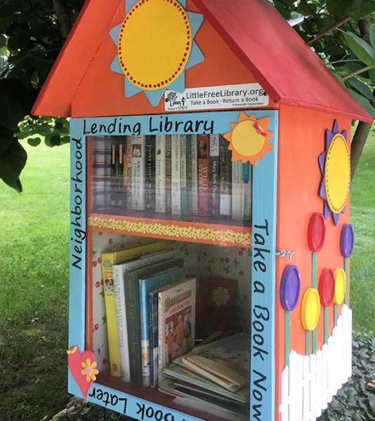 57 Jaw-Dropping Little Free Libraries - Little Free Library