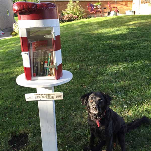 57 Jaw-Dropping Little Free Libraries - Little Free Library