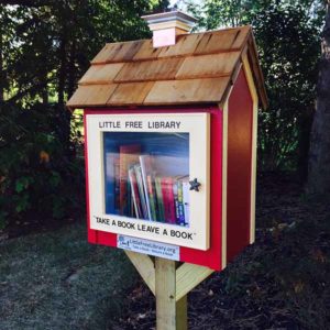 57 Jaw-Dropping Little Free Libraries - Little Free Library