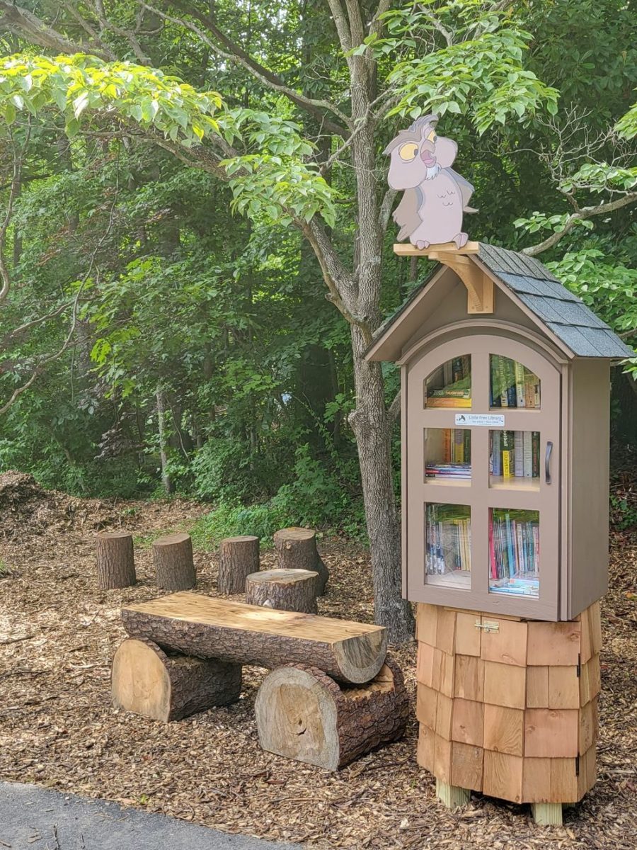 36 Cool Little Free Library Designs to Inspire Your Next Project ...
