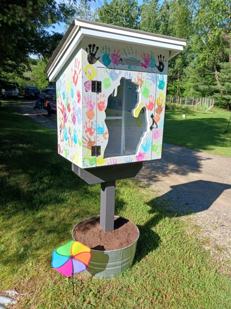 36 Cool Little Free Library Designs to Inspire Your Next Project ...