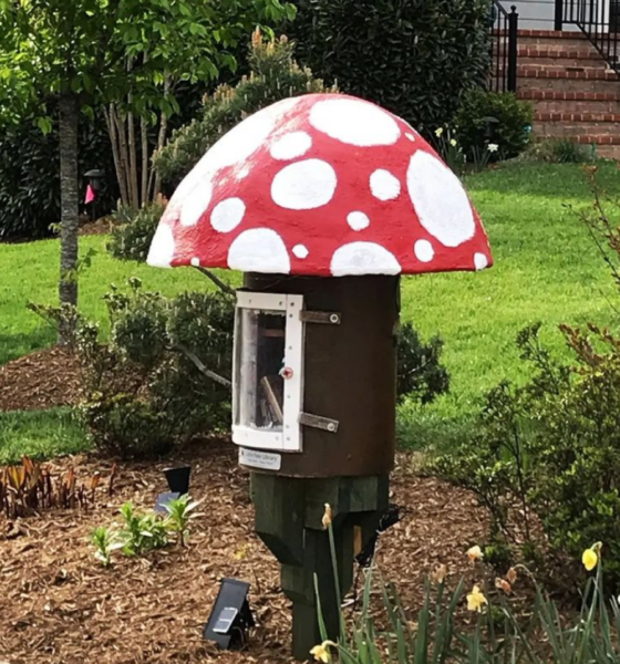 36 Cool Little Free Library Designs to Inspire Your Next Project ...