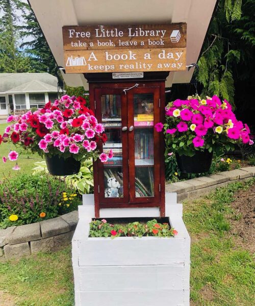 A Creative and Unusual Little Free Library - Little Free Library