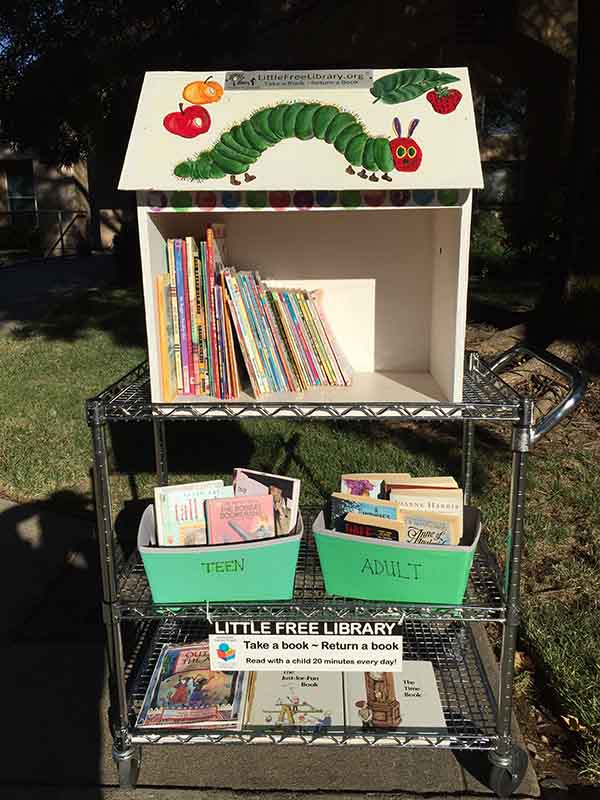 39 Wildly Creative Little Free Library Designs - Little Free Library