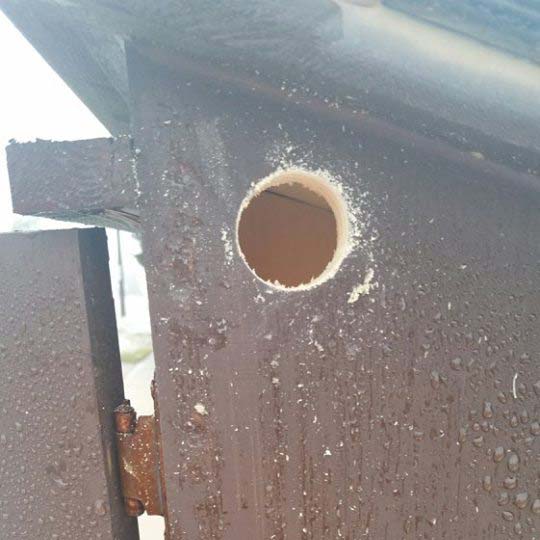 How to Install a Solar Light on a Little Free Library - Little Free Library