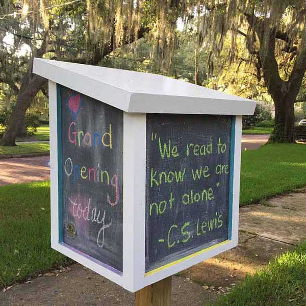 39 Wildly Creative Little Free Library Designs - Little Free Library
