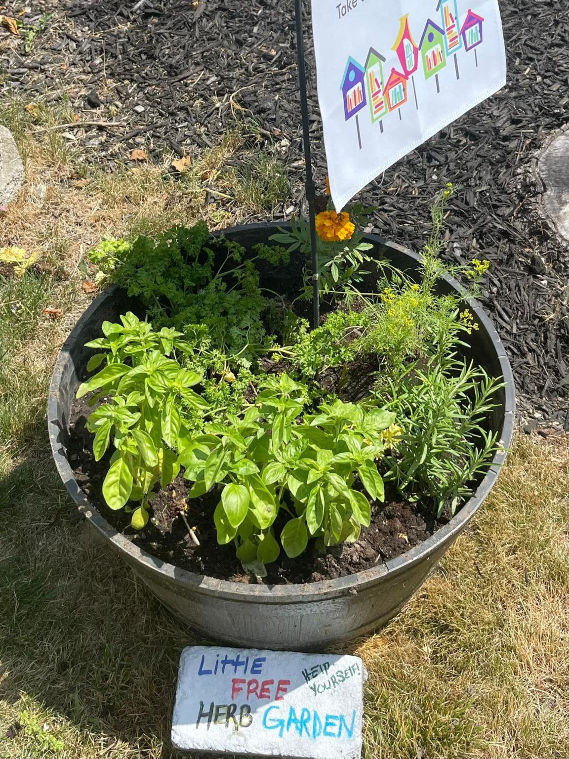 12 Inspiring Alternate Little Library Ideas - Little Free Library