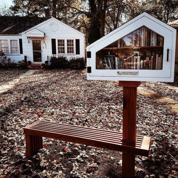 15 Little Free Library Book Boxes That Match the Houses Behind Them ...