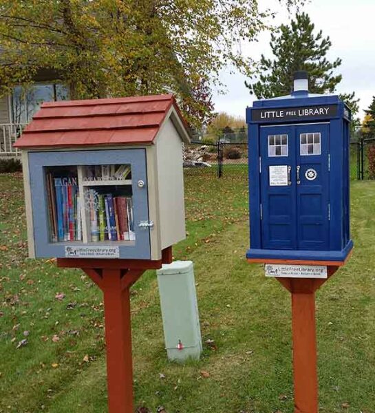 38 Must-See TARDIS Little Free Libraries - Little Free Library