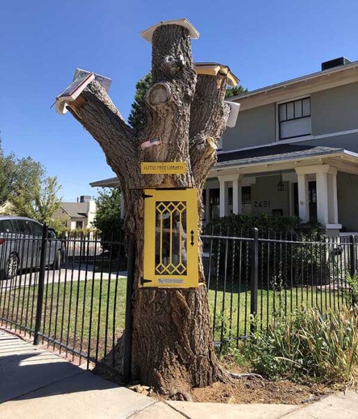 11 Epic Little Free Libraries Carved from Trees - Little Free Library