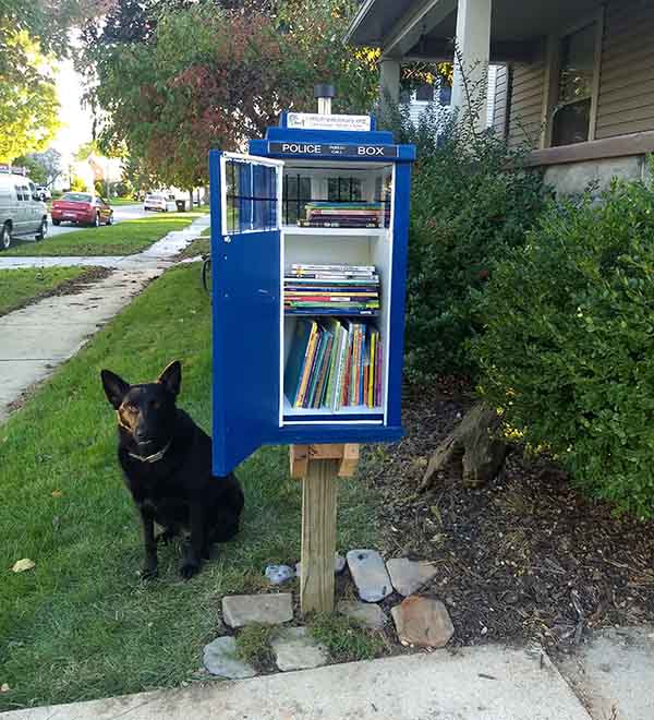 38 Must-See TARDIS Little Free Libraries - Little Free Library