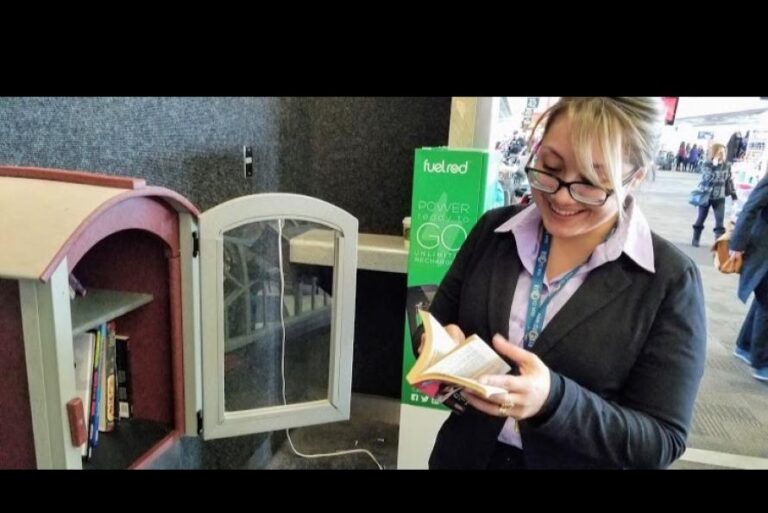 Cool Library Designs Archives - Little Free Library