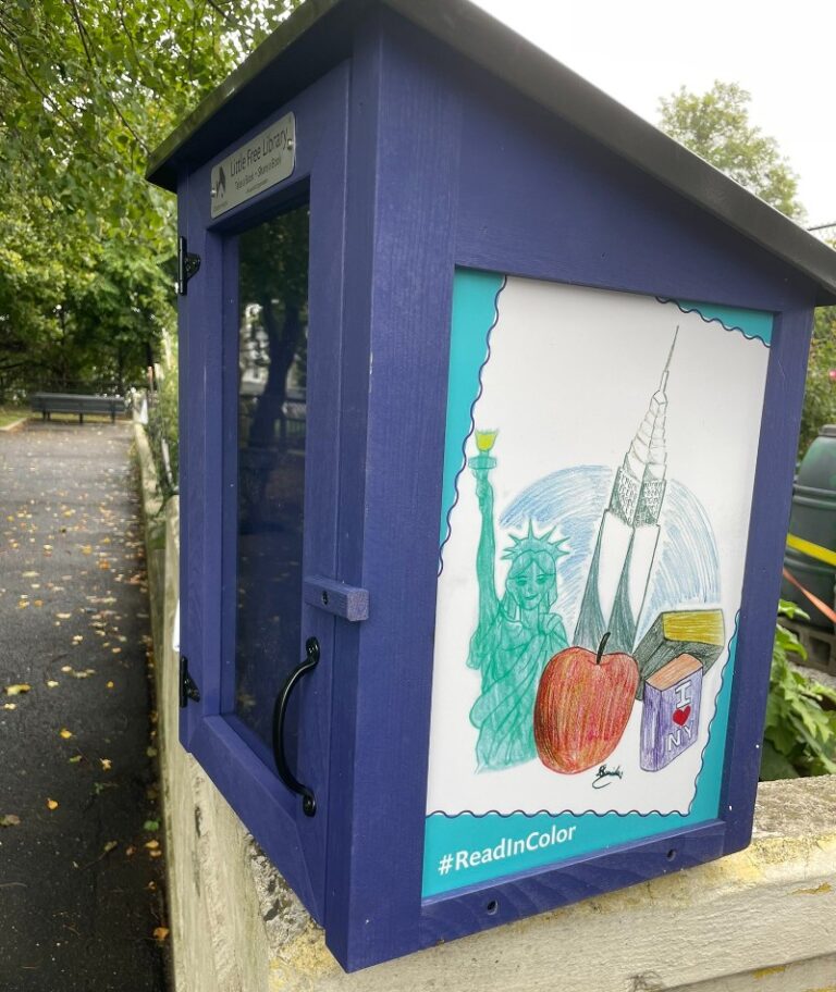 New York City Little Free Libraries Featuring Student Art to Debut in ...