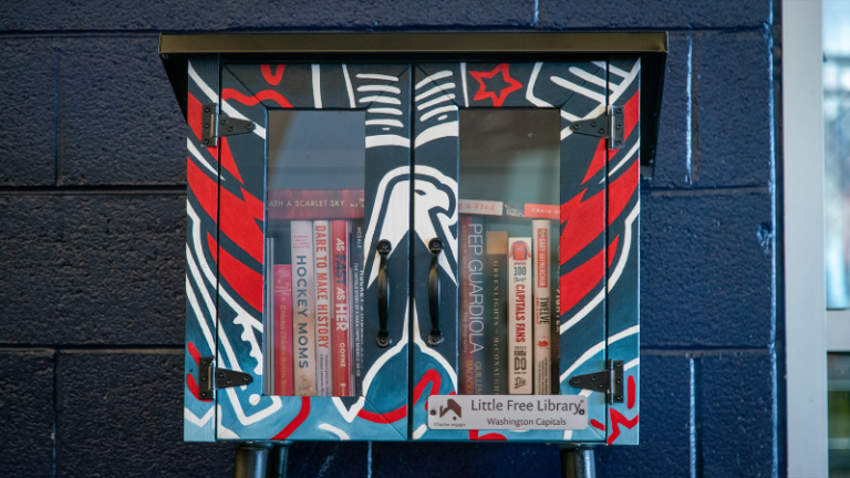 Cool Library Designs Archives - Little Free Library