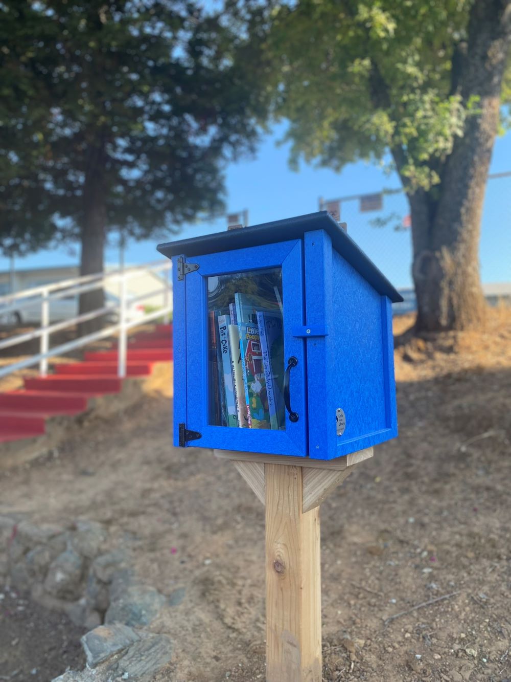 Impact Library Program Steward Stories, March 2023 - Little Free Library