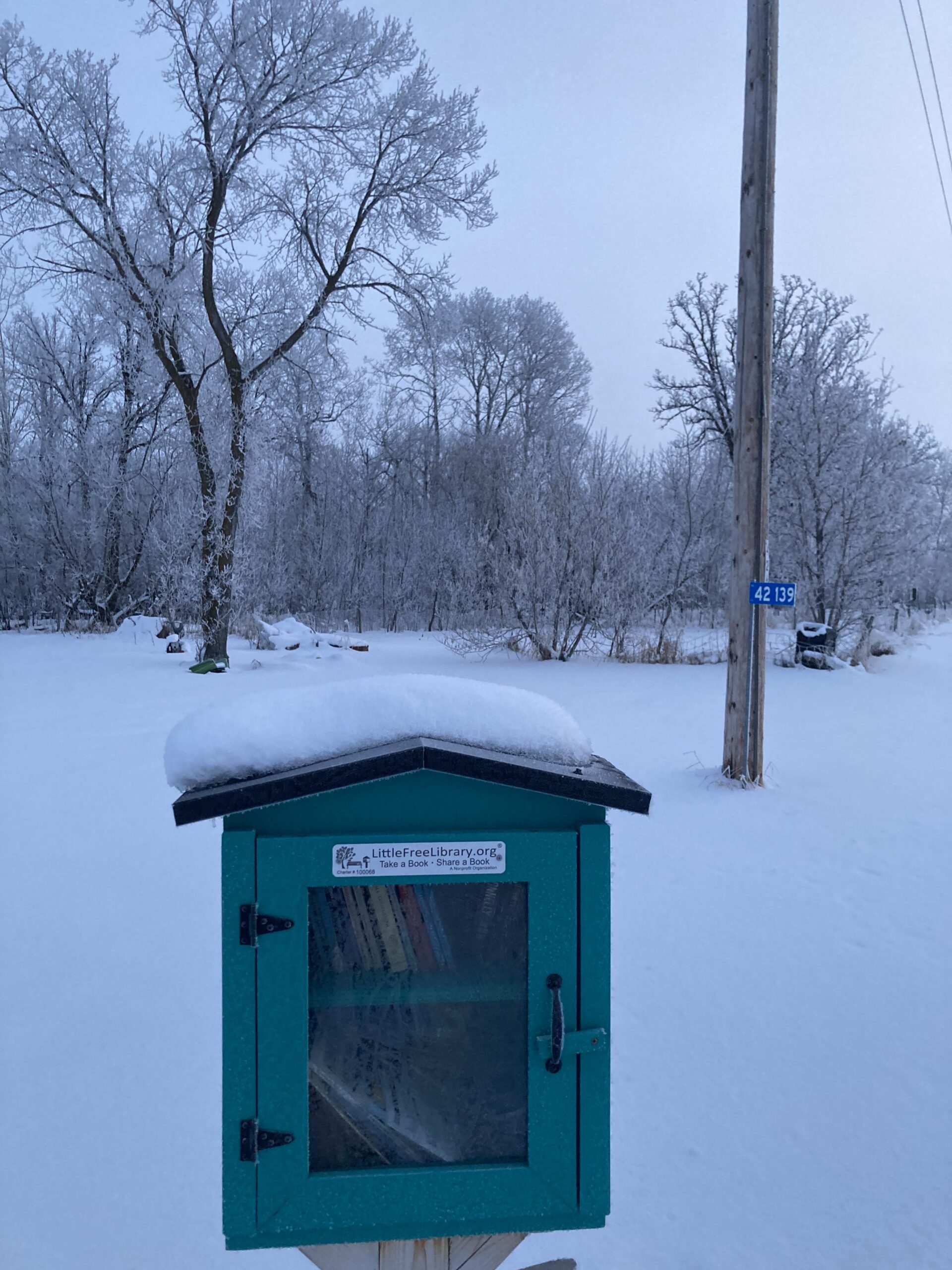 Impact Library Program Steward Stories, July 2023 - Little Free Library