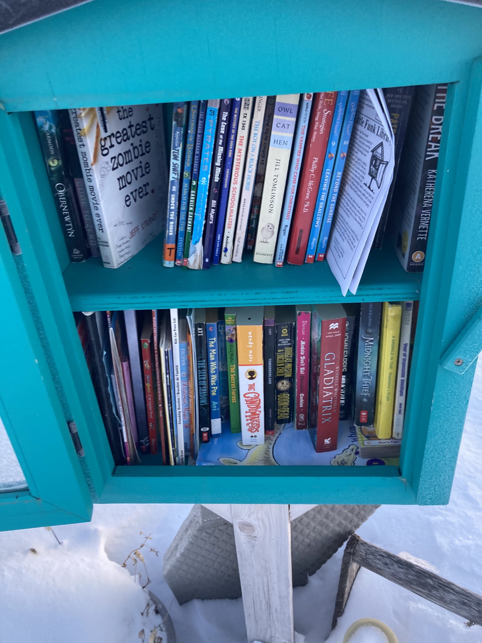 Impact Library Program Steward Stories, July 2023 - Little Free Library