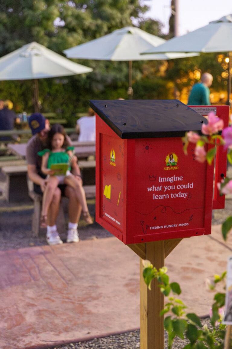 Little Free Library Teams Up with Sun-Maid and ABCmouse to Feed Hungry ...