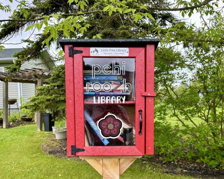 Steward Stories Archives - Little Free Library