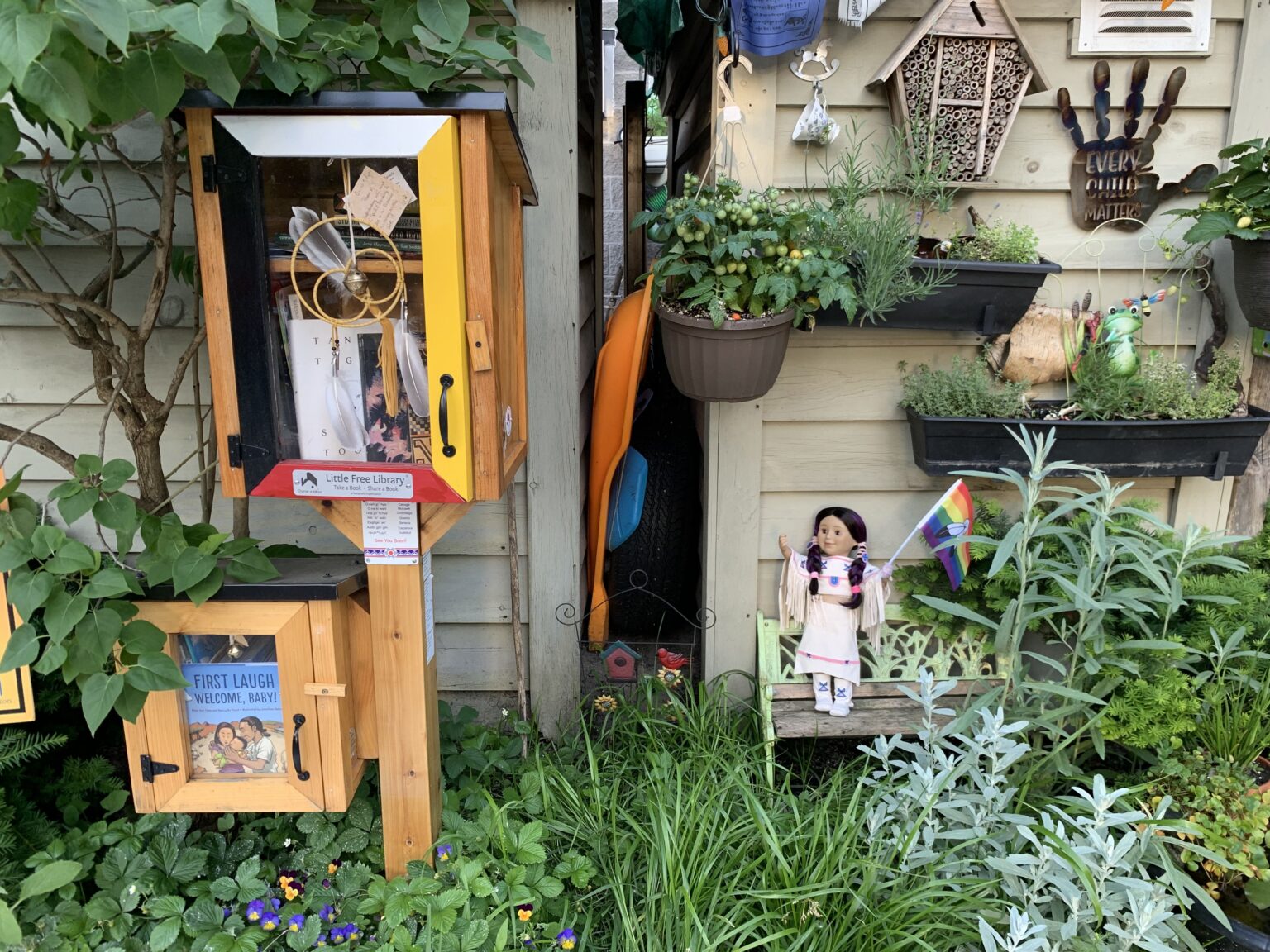 Indigenous Library Program Steward Story, July 2025 - Little Free Library