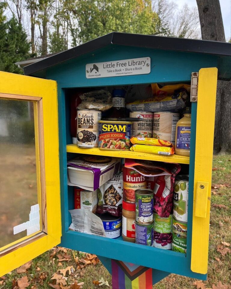 Little Free Library Stewards Share Food in Book Exchange Boxes Amid ...